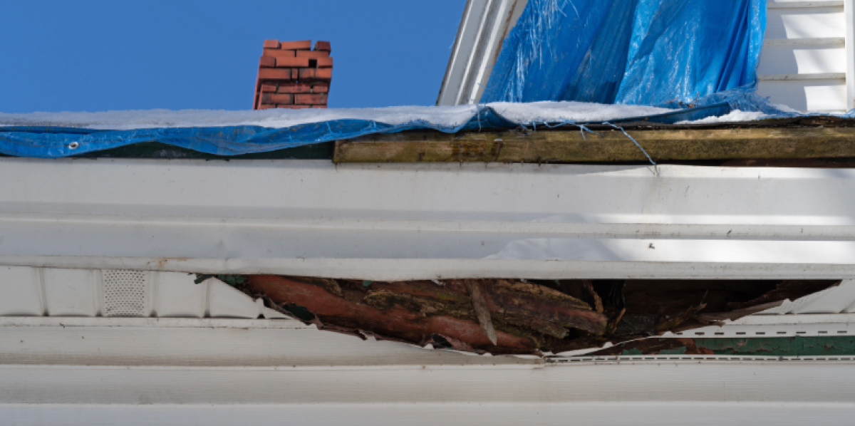 What Causes Roof Rot & How to Prevent It