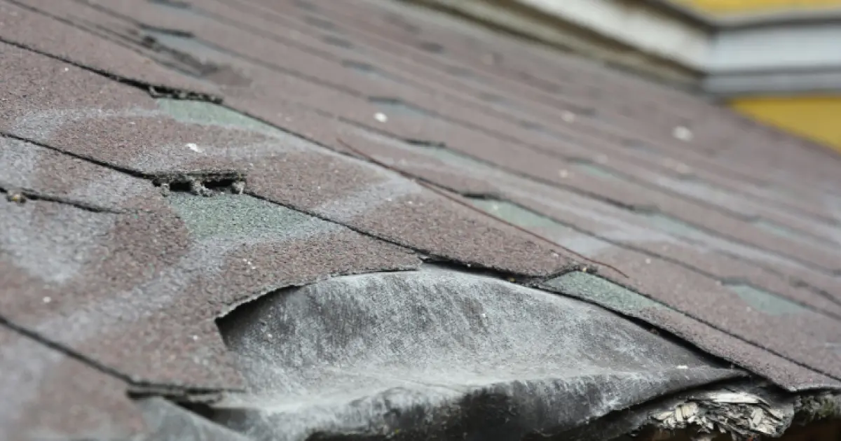 Roof Warning Signs to Address Before They Get Worse