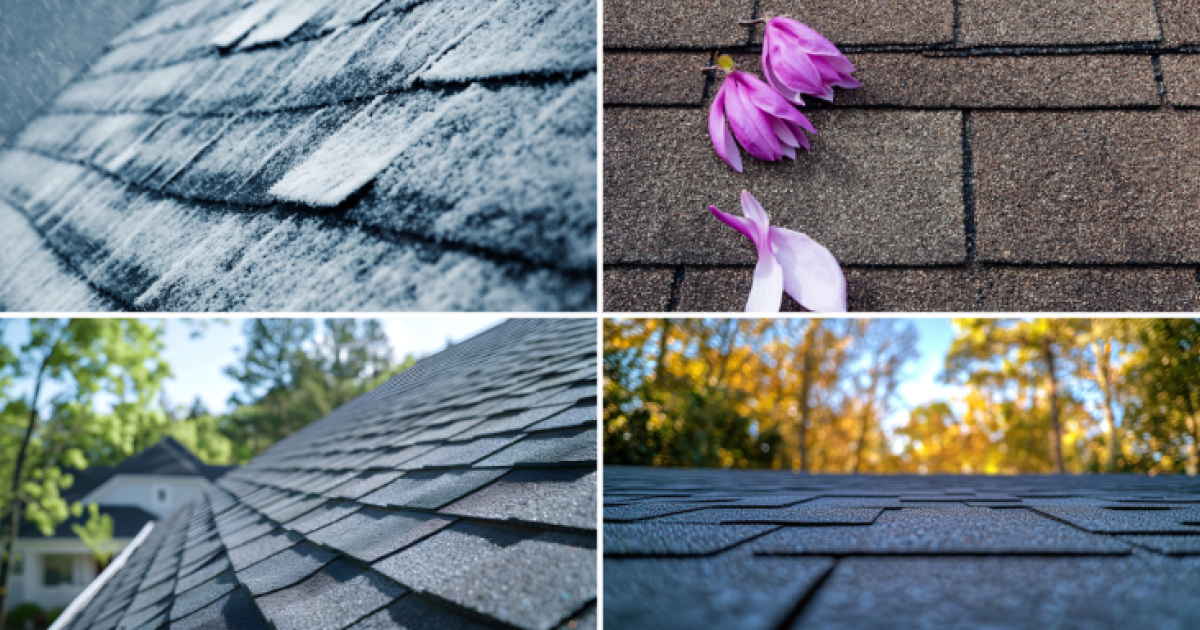 Seasonal Tips for a Durable, Weatherproof Roof