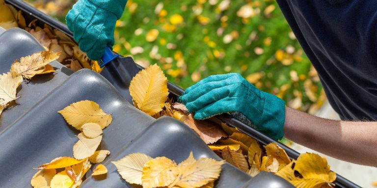 Gutters 101: The Importance of Regular Maintenance and Upgrades for ...